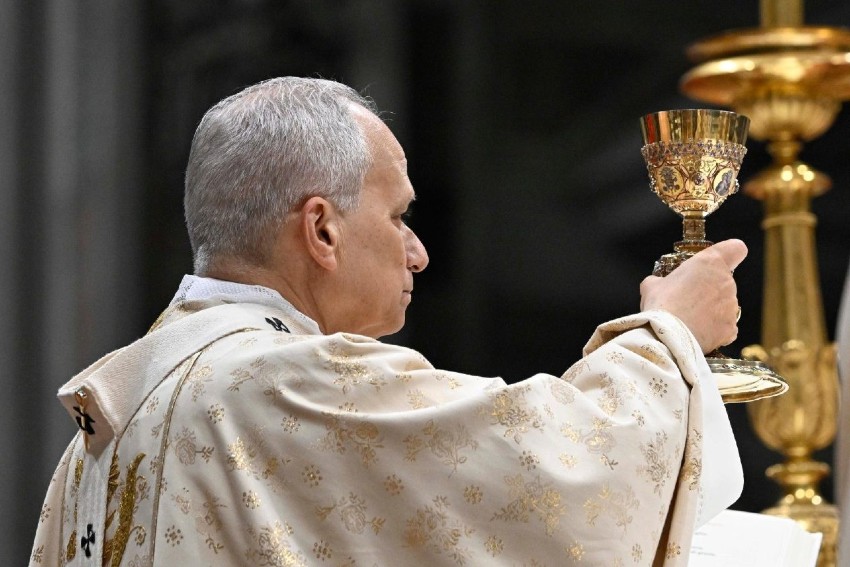 Letter #2, 2026, Monday, January 12: Pope Leo's schedule - Inside The ...